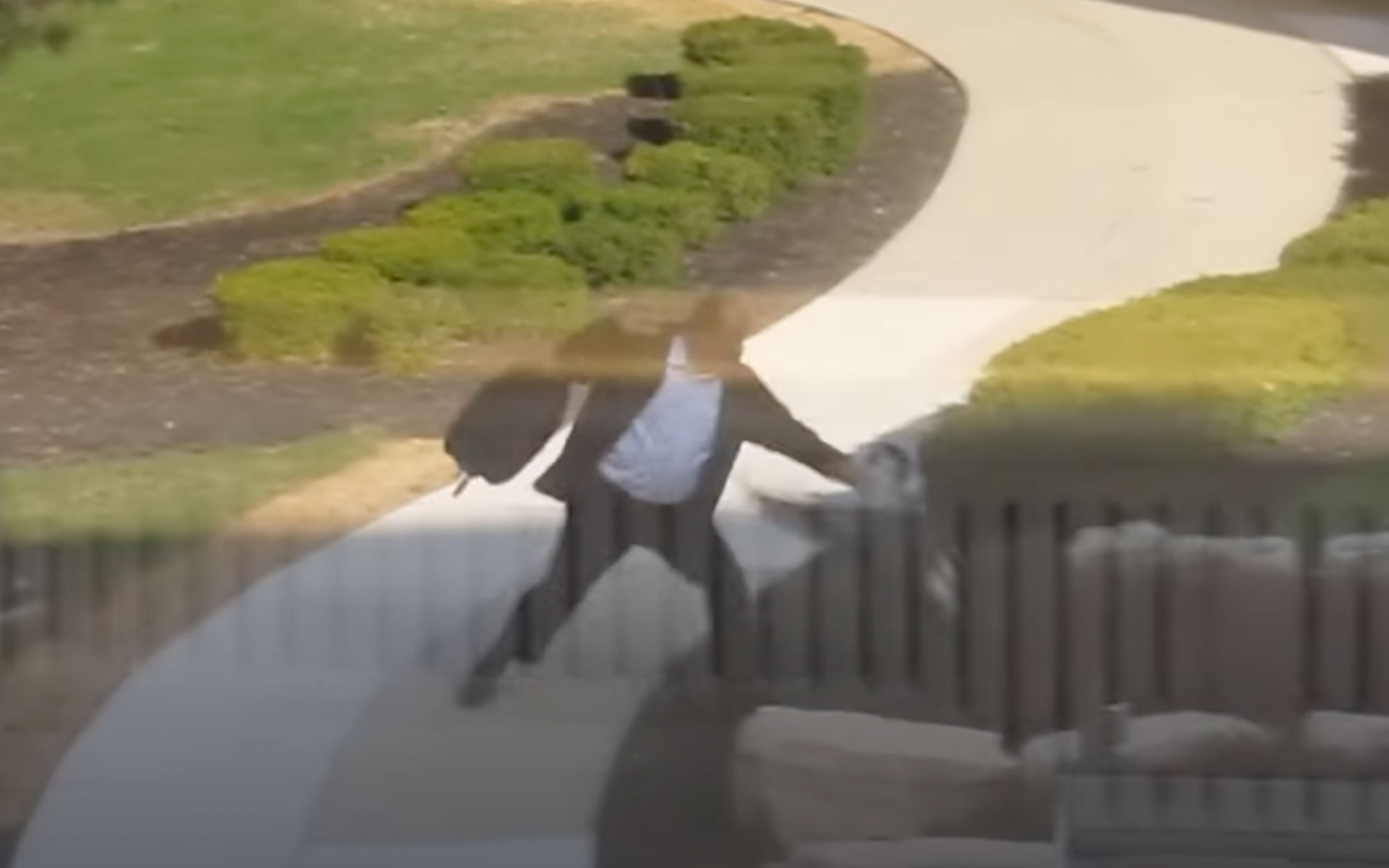 Man encounters Canadian goose on his way into the office, hilarity ensues