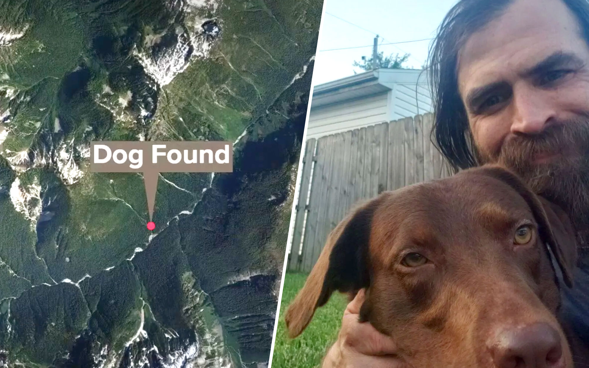 Total relief from family and friends as missing hiker found alive after ...
