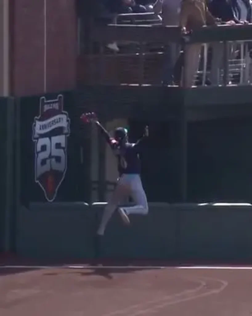 Dangers in the Outfield: MLB Star Carted Off After Incredible Diving ...